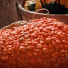 Types of Pumpkins [With Pictures] — Vegtotable