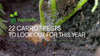 22 Carrot Pests [What to Look For This Year] — Vegtotable