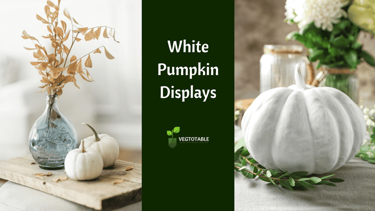 White Pumpkin [Ideas to Use Them and Grow Them] — Vegtotable