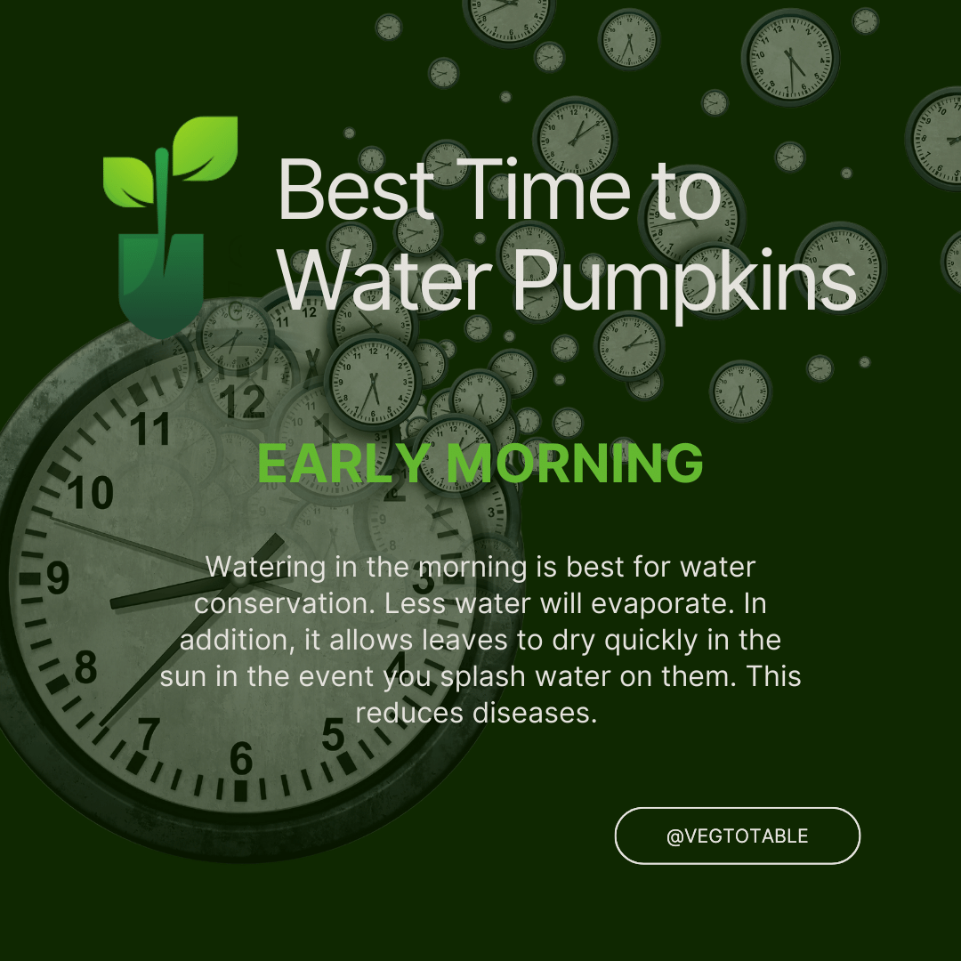 How Often to Water Pumpkins [And How to Save Water] — Vegtotable