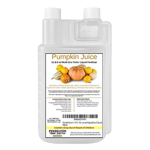 Pumpkin Fertilizer [What to Use, How to Use It] — Vegtotable
