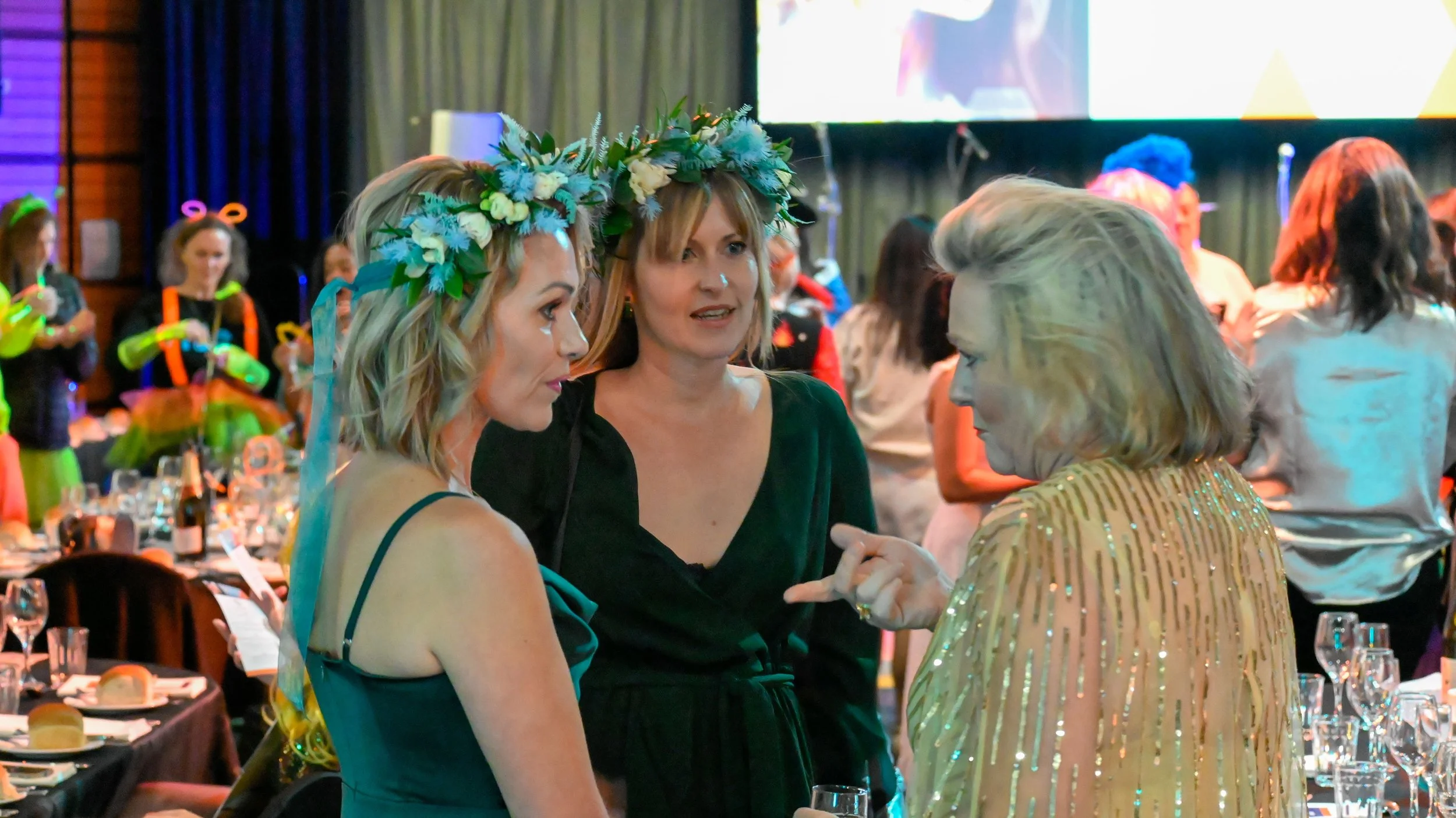 NZSCC Events Gallery — NZSCC