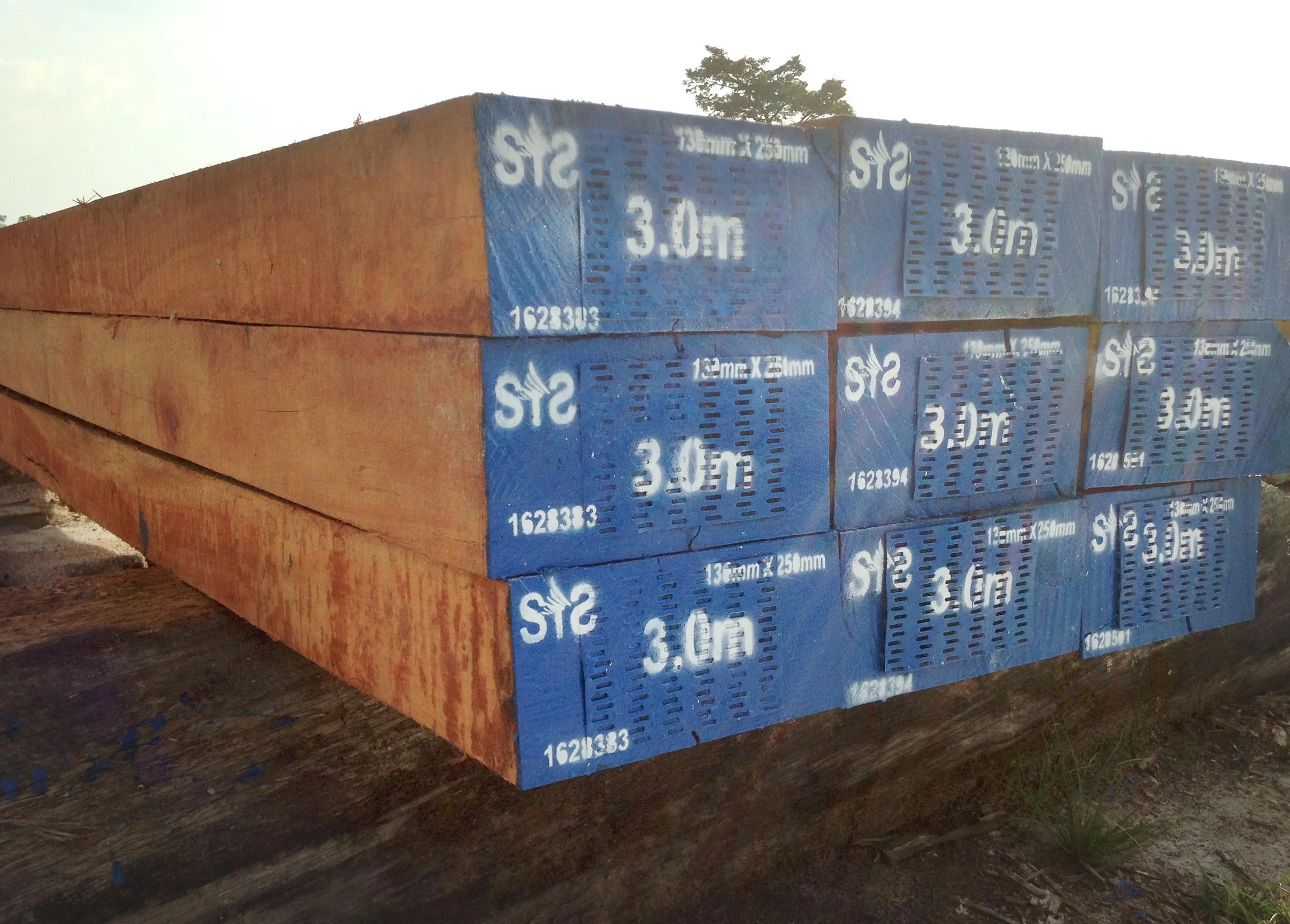 Sleepers — STS Guyana