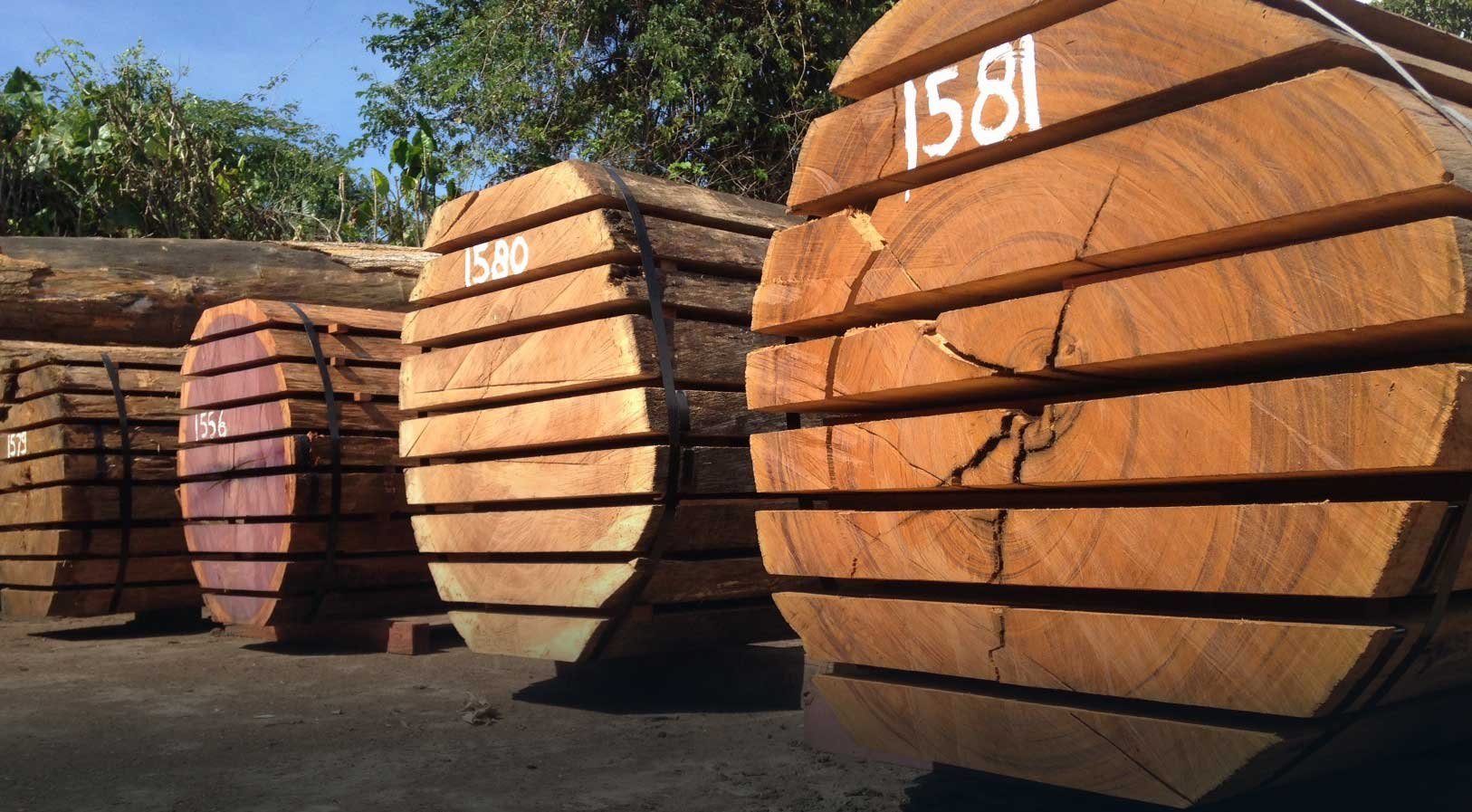 Sustainable Timber Products from Guyana — STS Guyana