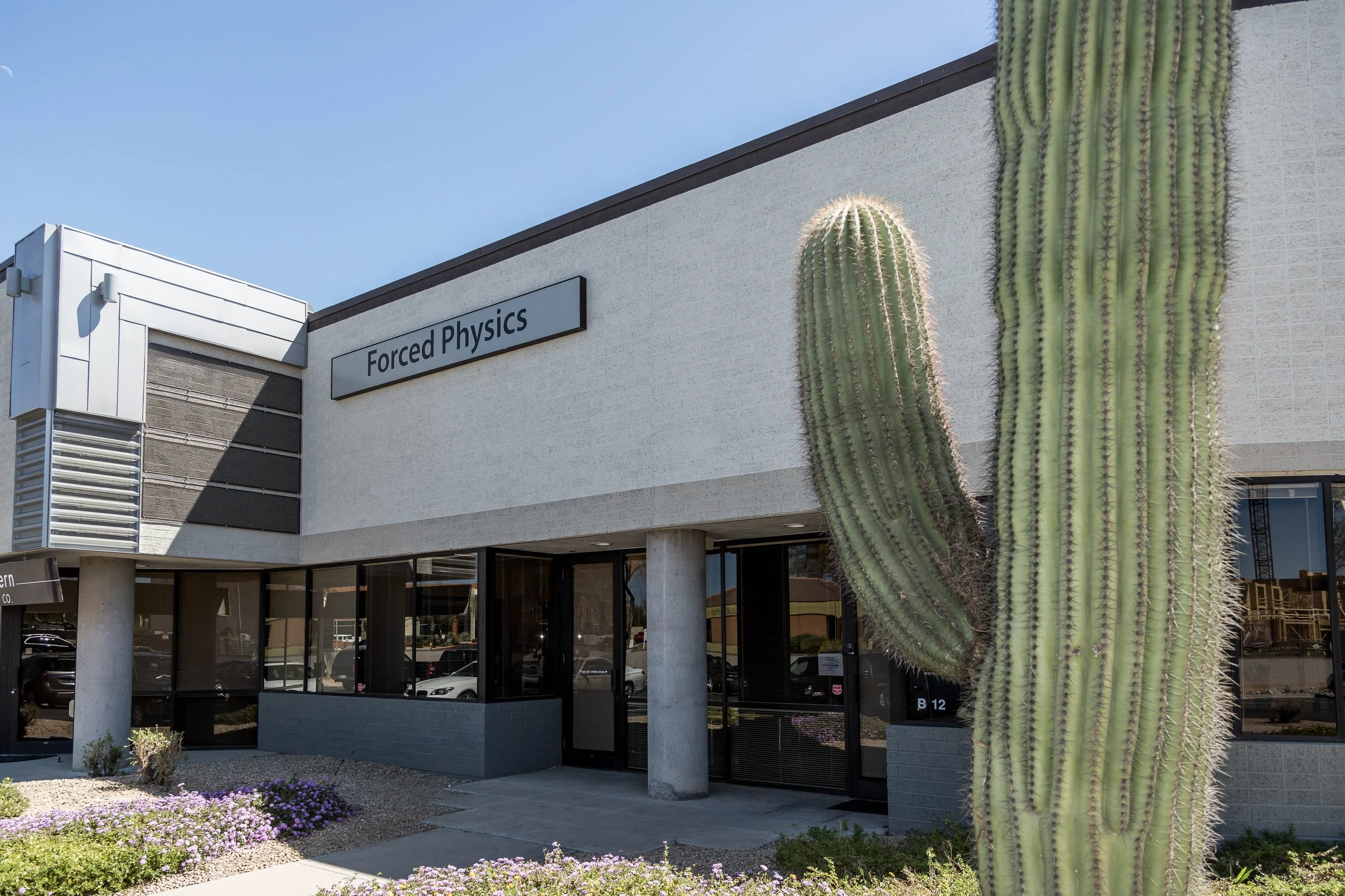 About — Forced Physics DCT