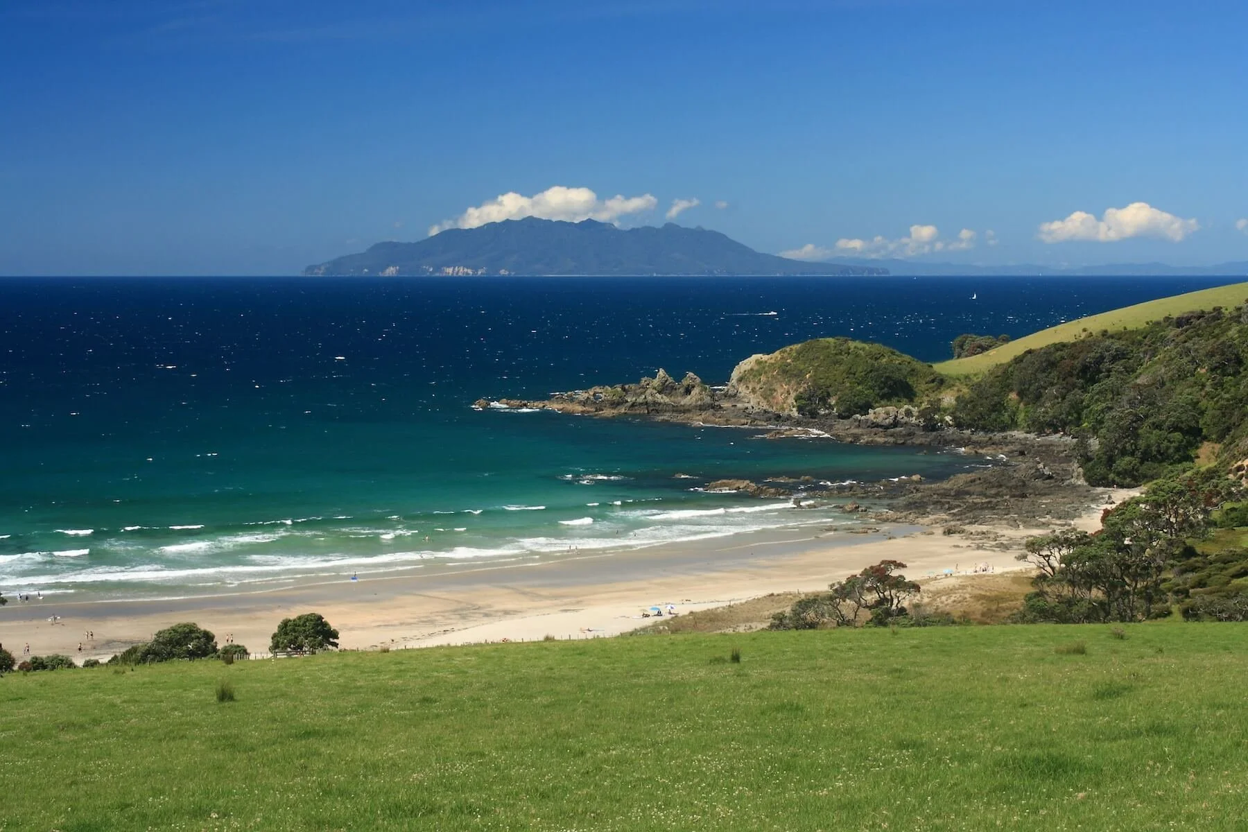 Events — IFS Aotearoa NZ Community