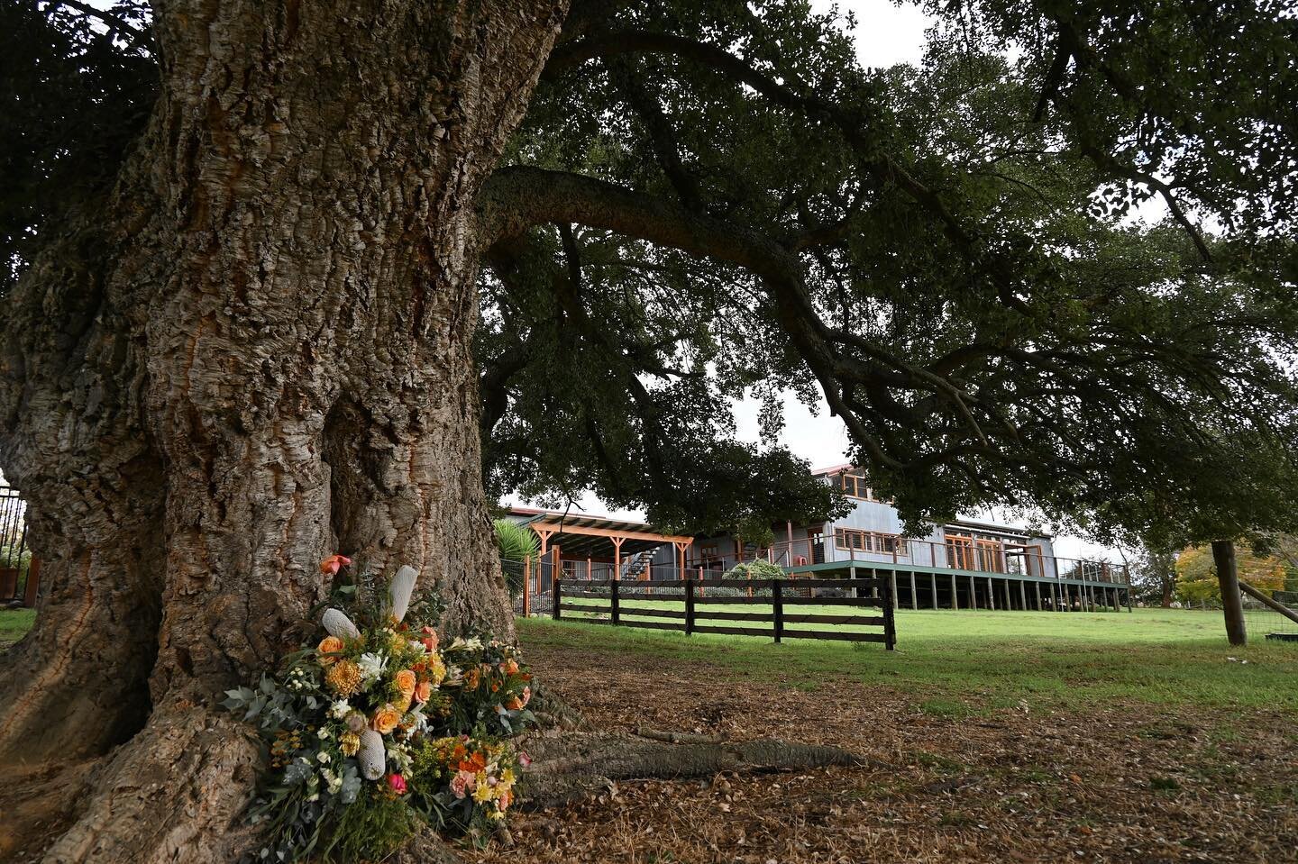 Tylyn and Steven's beautiful country wedding — Dalmore Farm