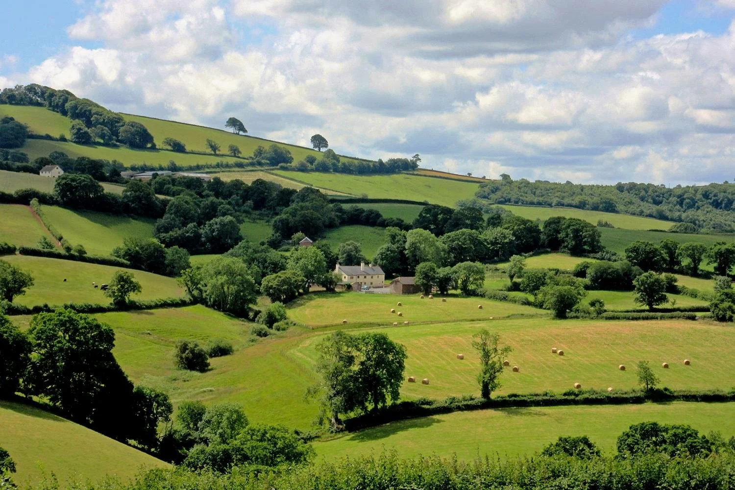Home [www.thecadeleigharms.org]