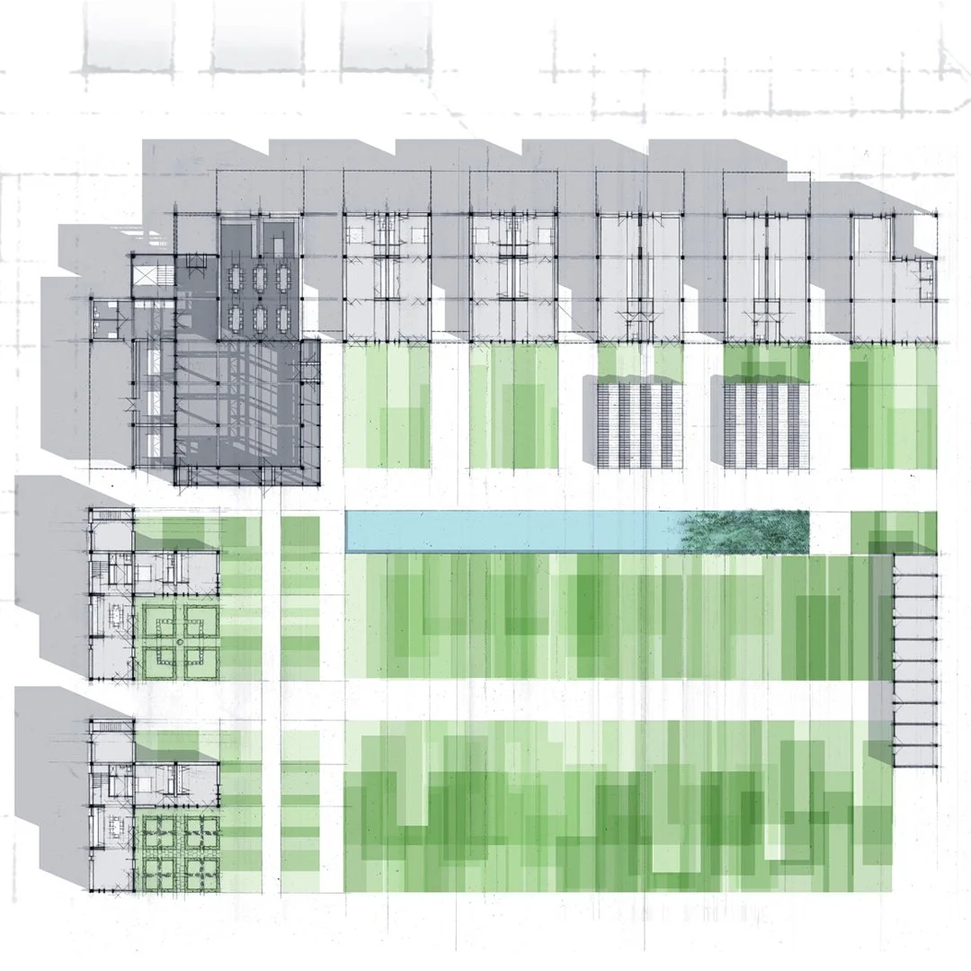 Eco multi-generational co-housing scheme — Architecture and Landscape
