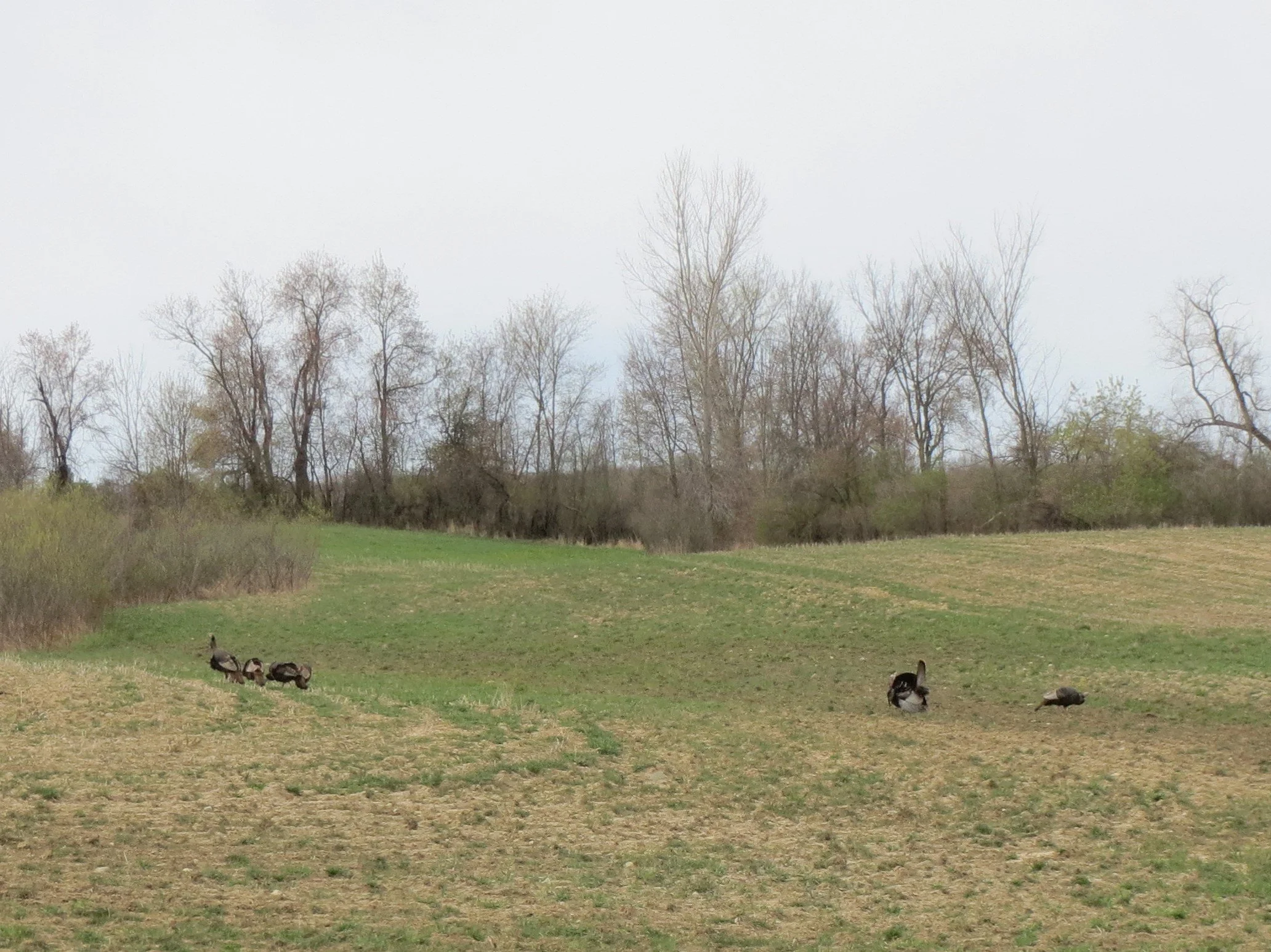 Not So Fast — HUNTING FIT