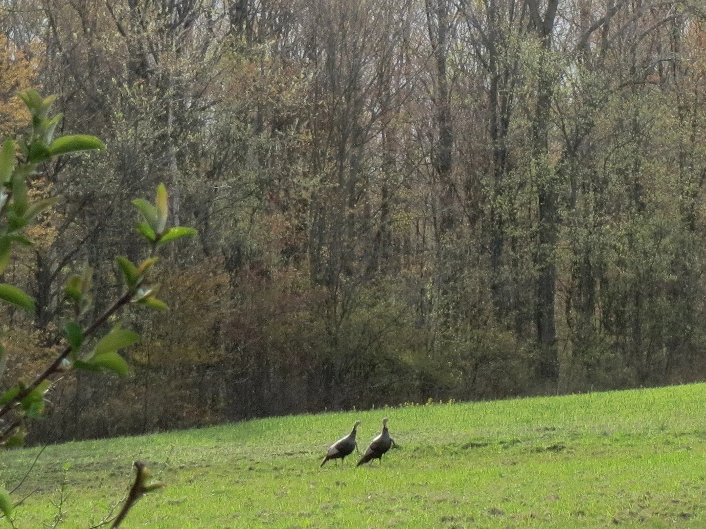 Not So Fast — HUNTING FIT