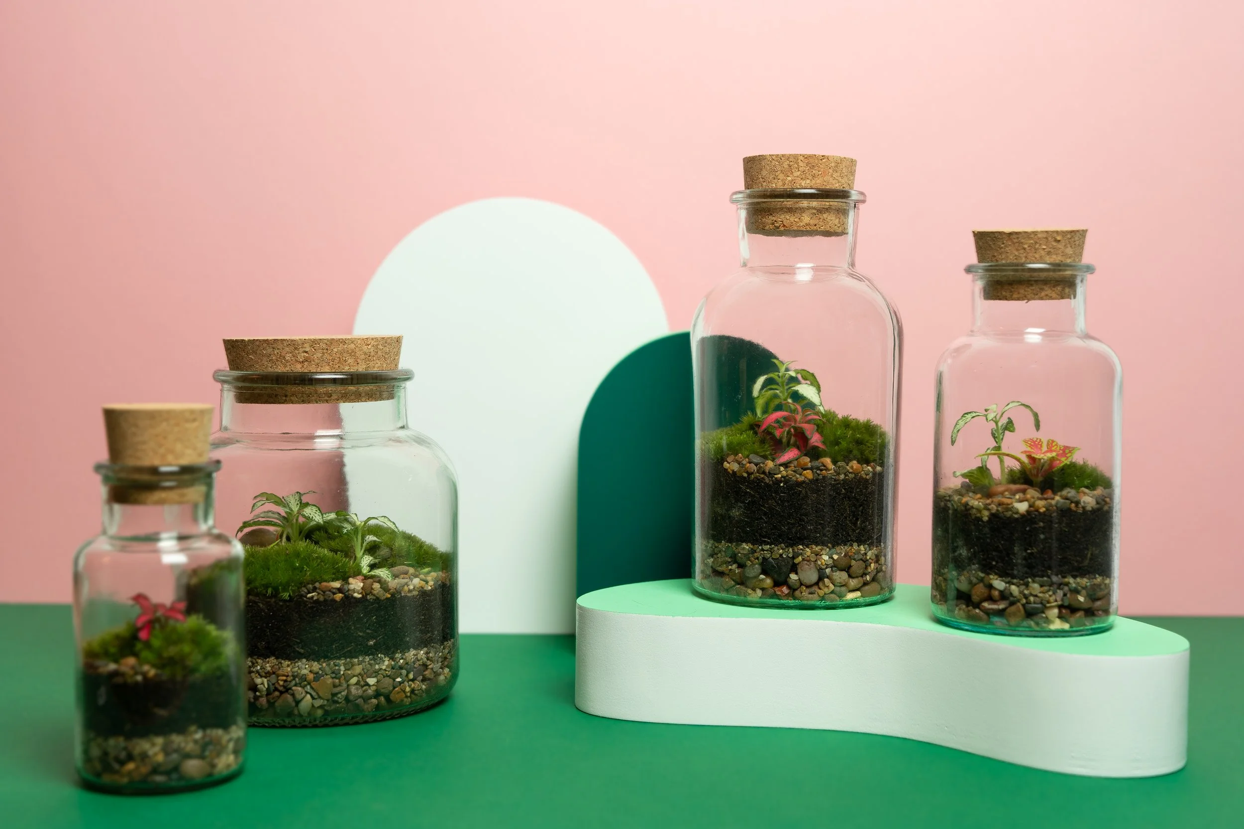 Shop Terrariums — York Terrariums