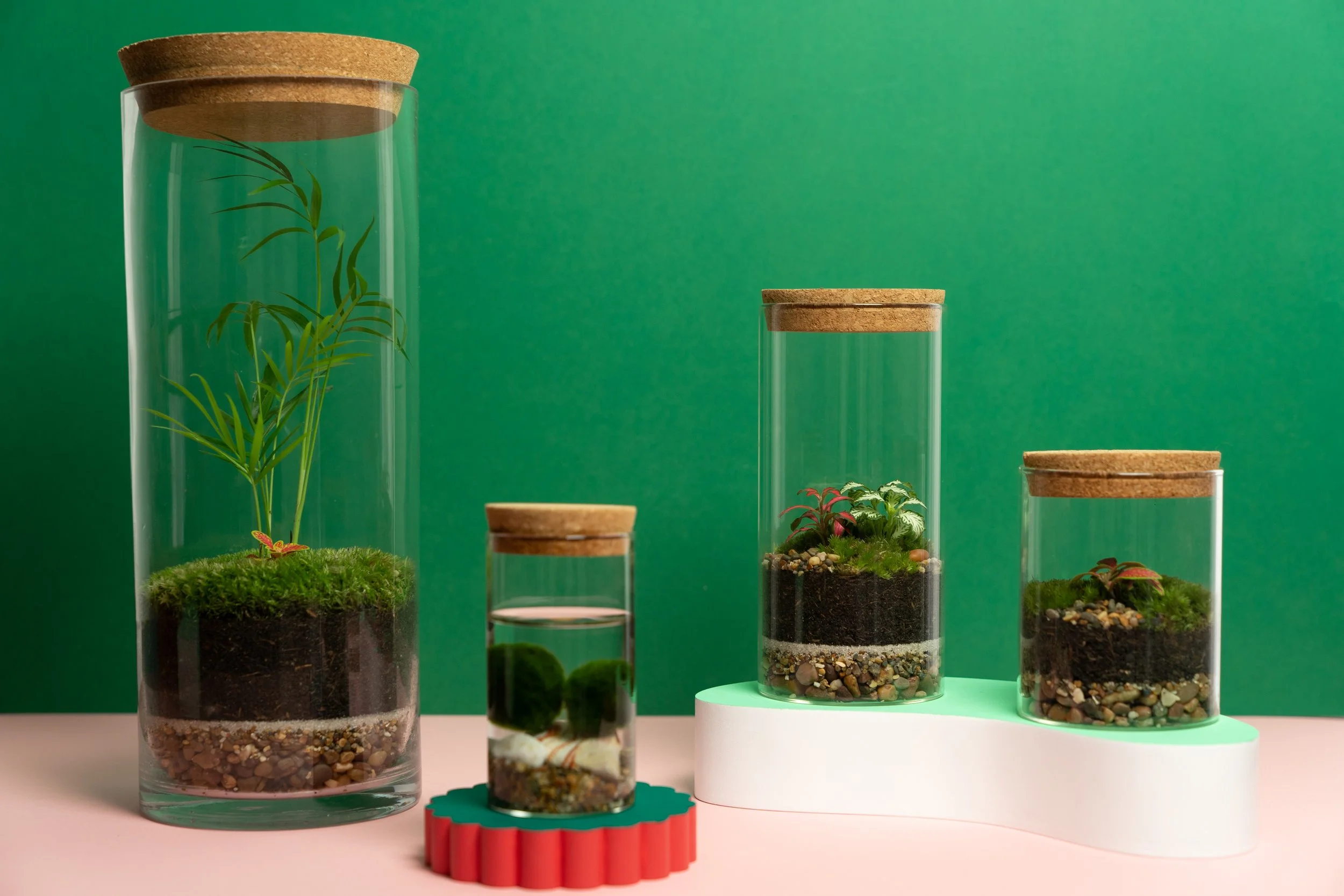 Shop Terrariums — York Terrariums