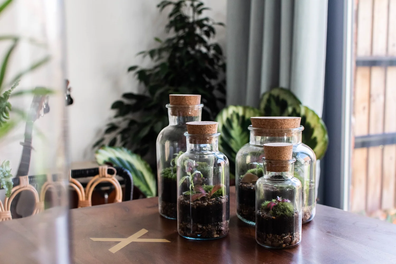 Shop Terrariums — York Terrariums