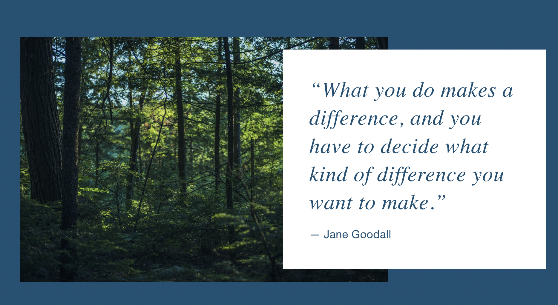 ESG Branding — Cygnalize Studio