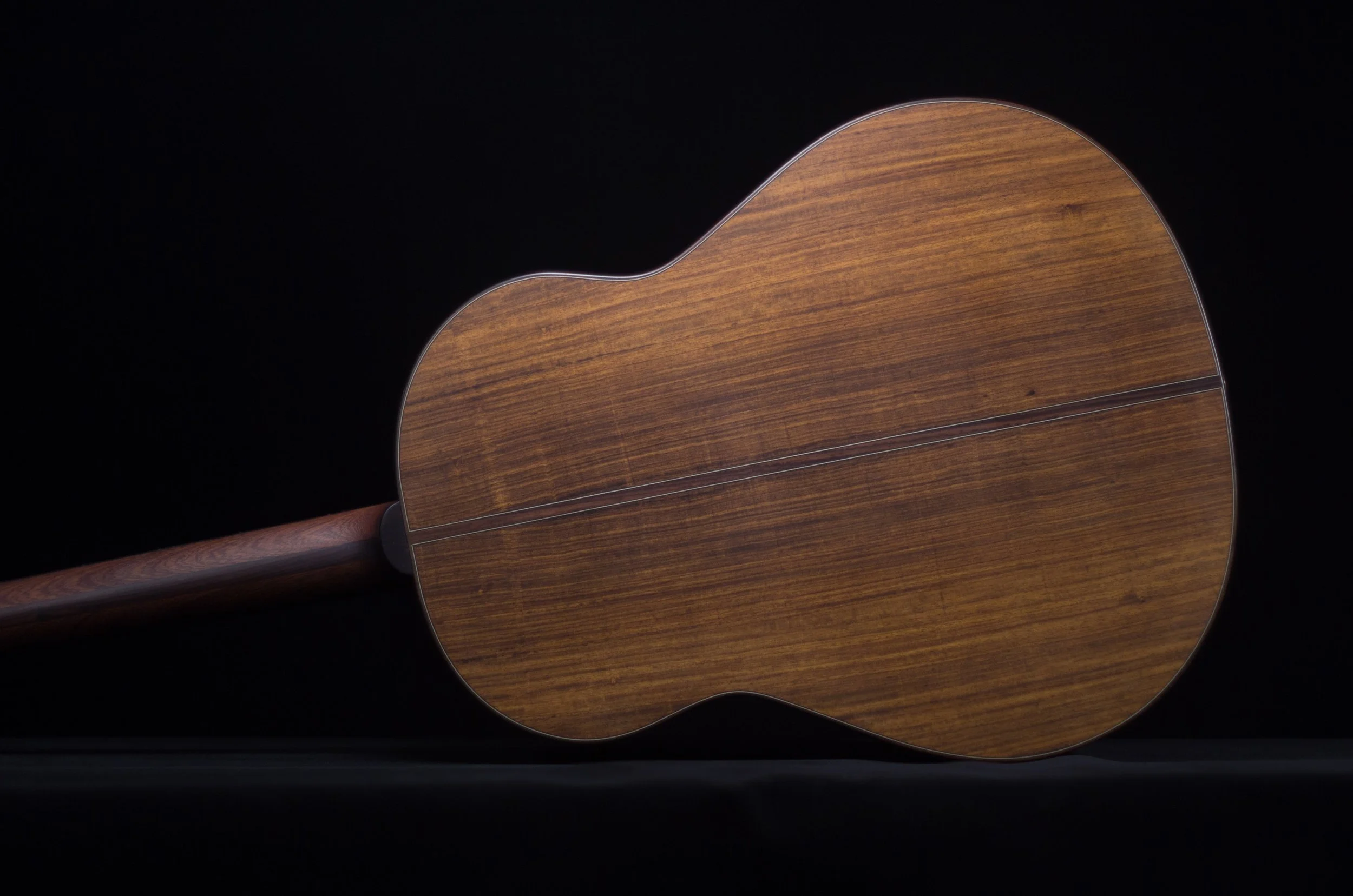Homestead | Built for Generations. — Dehradun Guitar Company