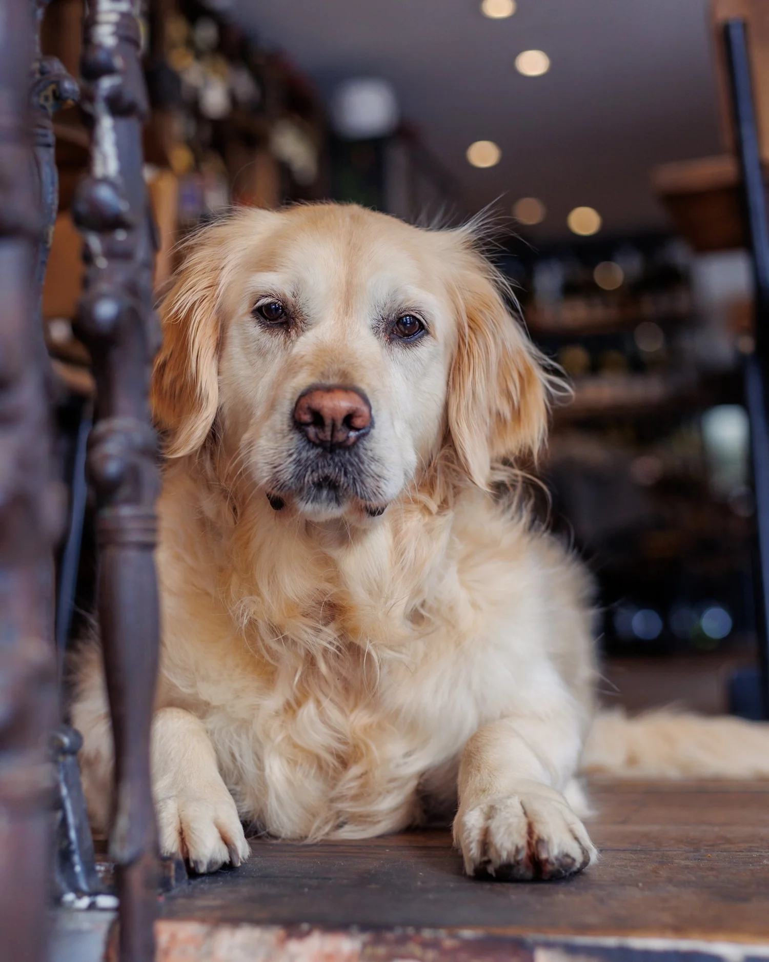 The Best London Wine bars | Humble Grape