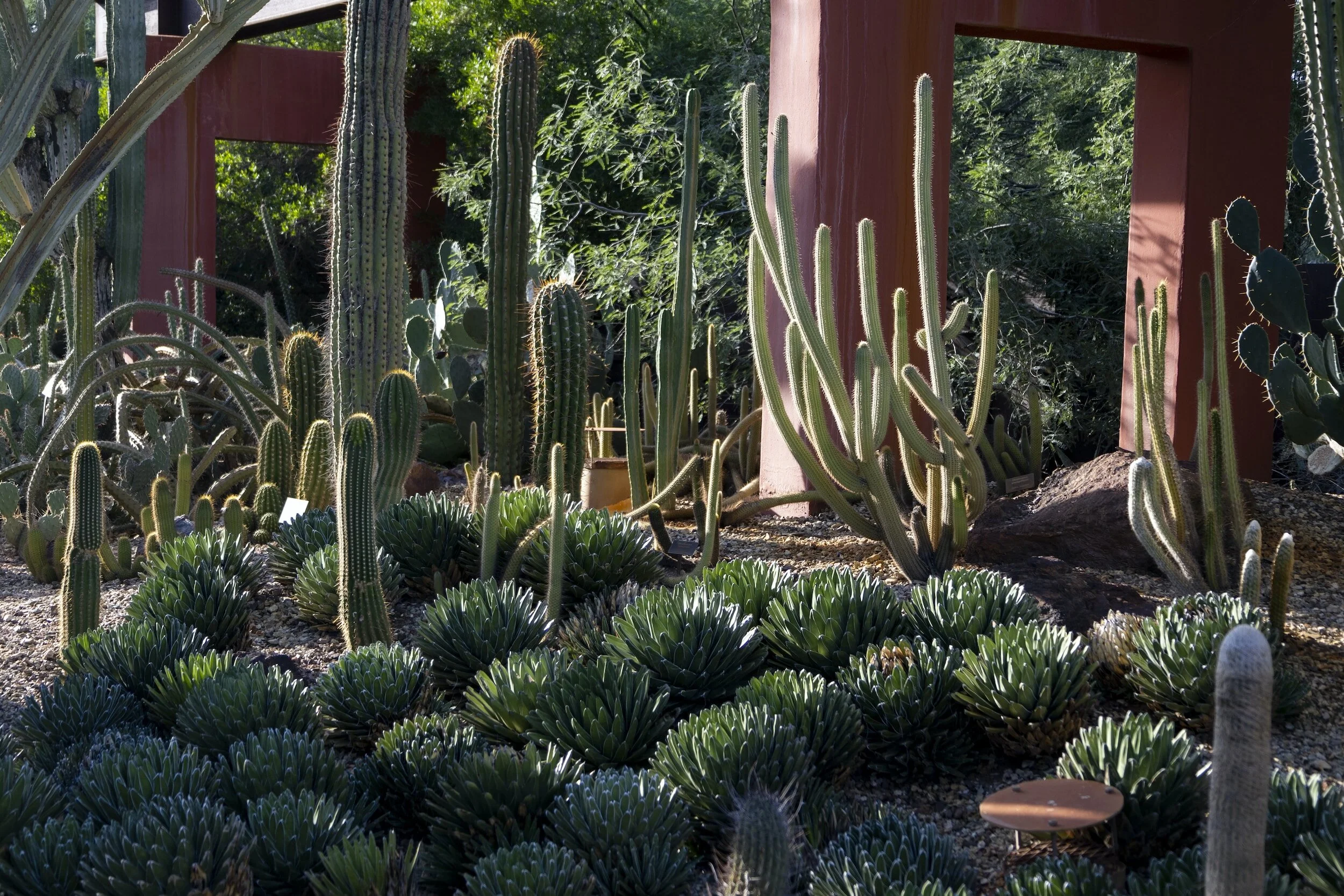 Phoenix Winter Guide: Top 10 Activities — Lens and Luggage