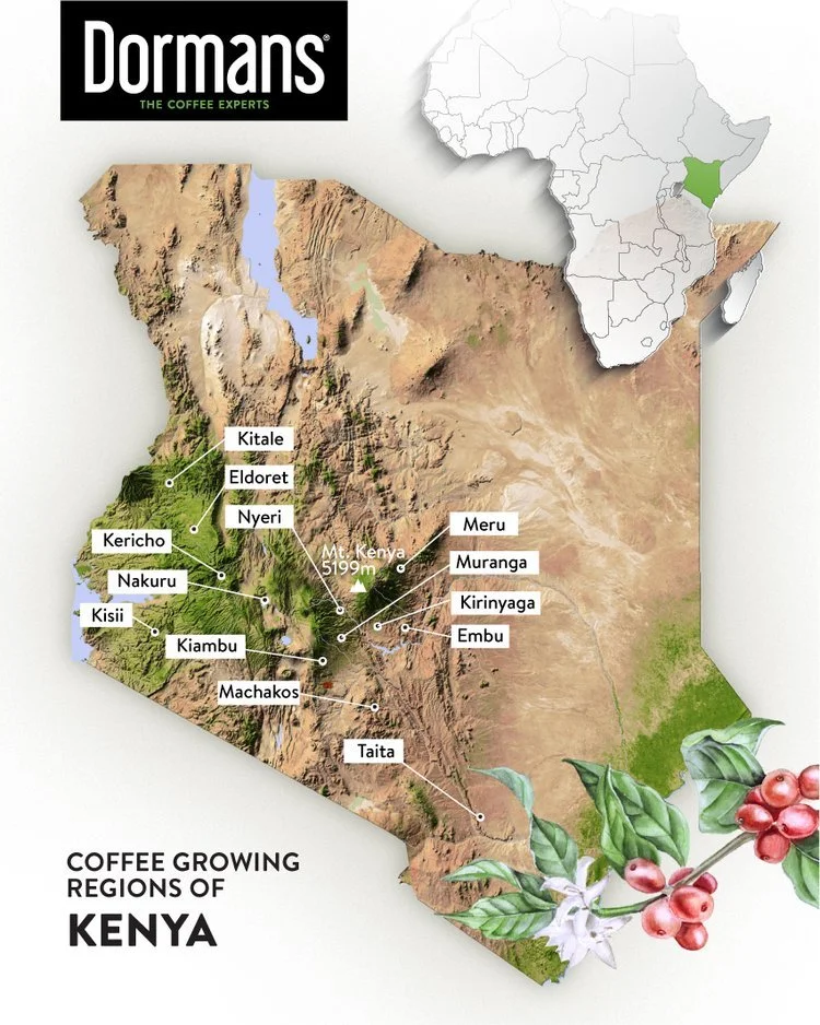 KNOWLEDGE CENTER — Nairobi School of Coffee