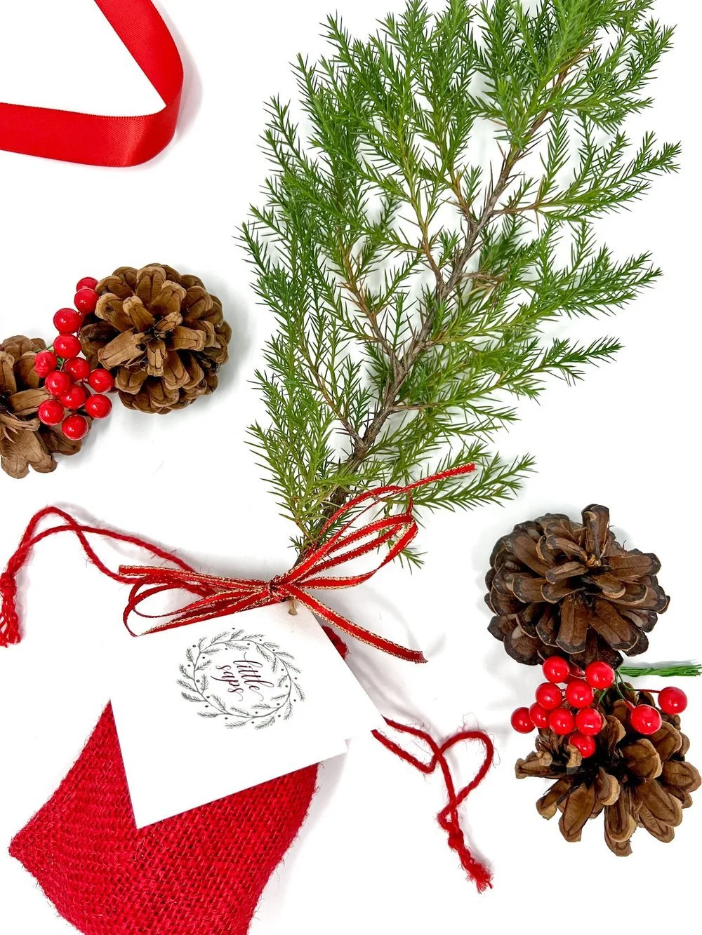 Celebrate the Season with Little Saps: Wishing You a Merry Christmas ...