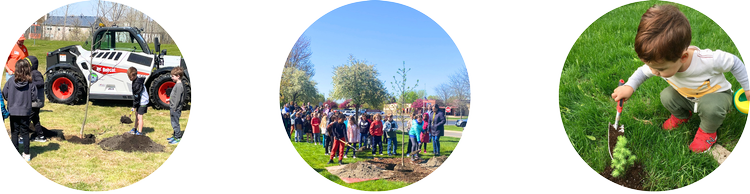 Rooted in Celebration: Creative Arbor Day Ideas for Your Community