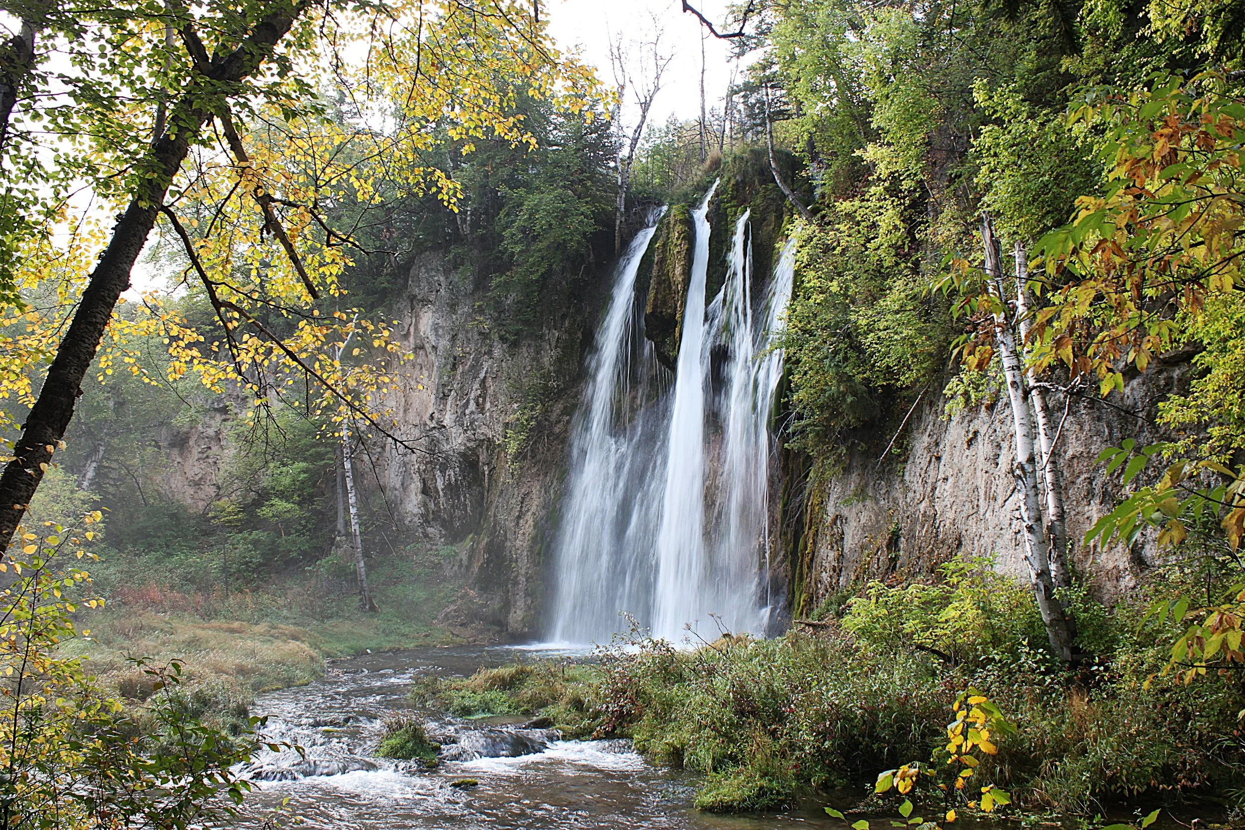 Leaf Reports— Spearfish Canyon Reports