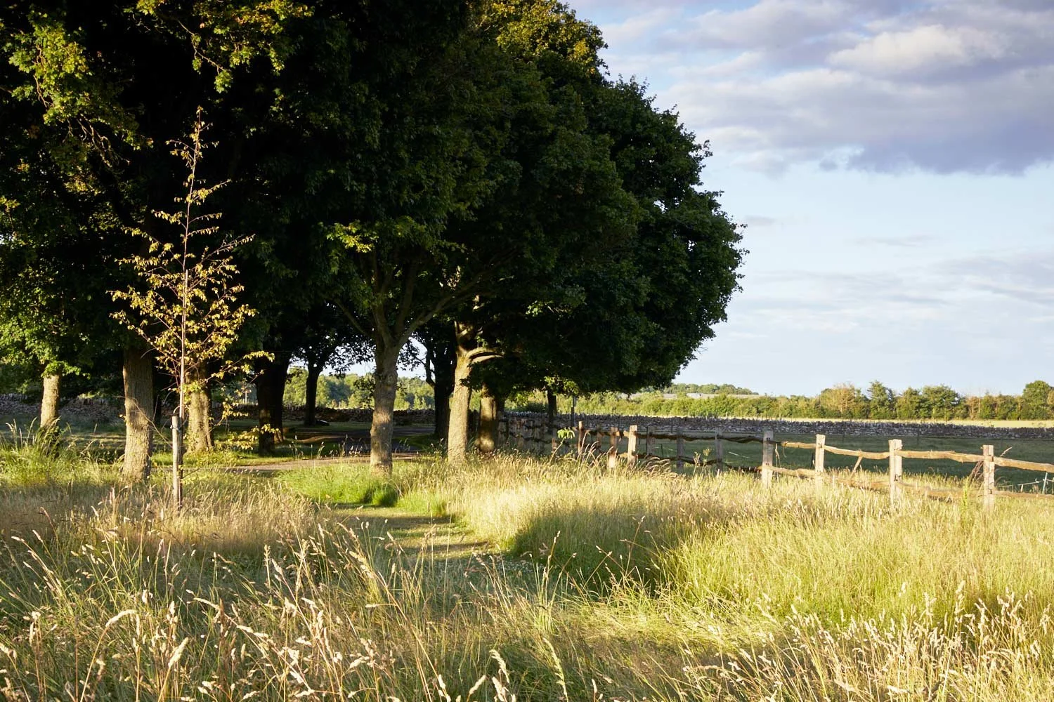 Oxleaze Farm & Barn