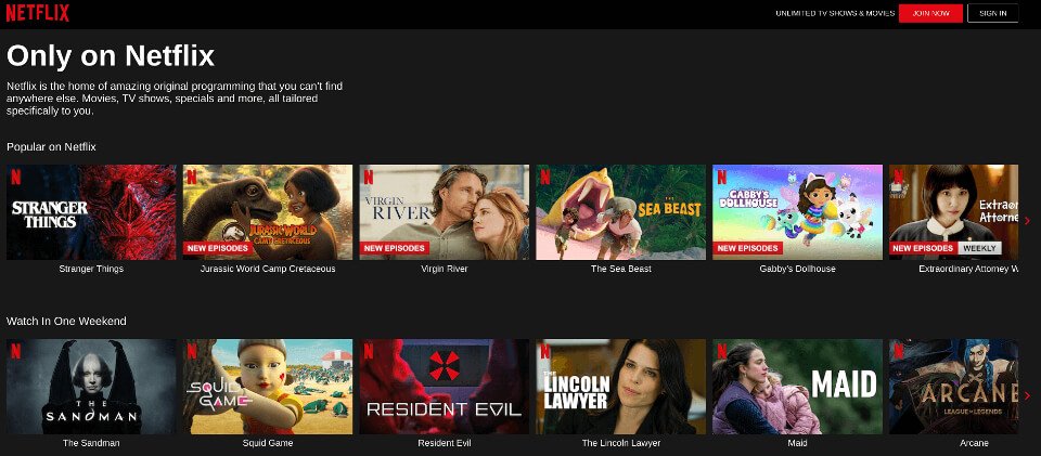 Netflix Biz Model Canvas — DigitalBizModels