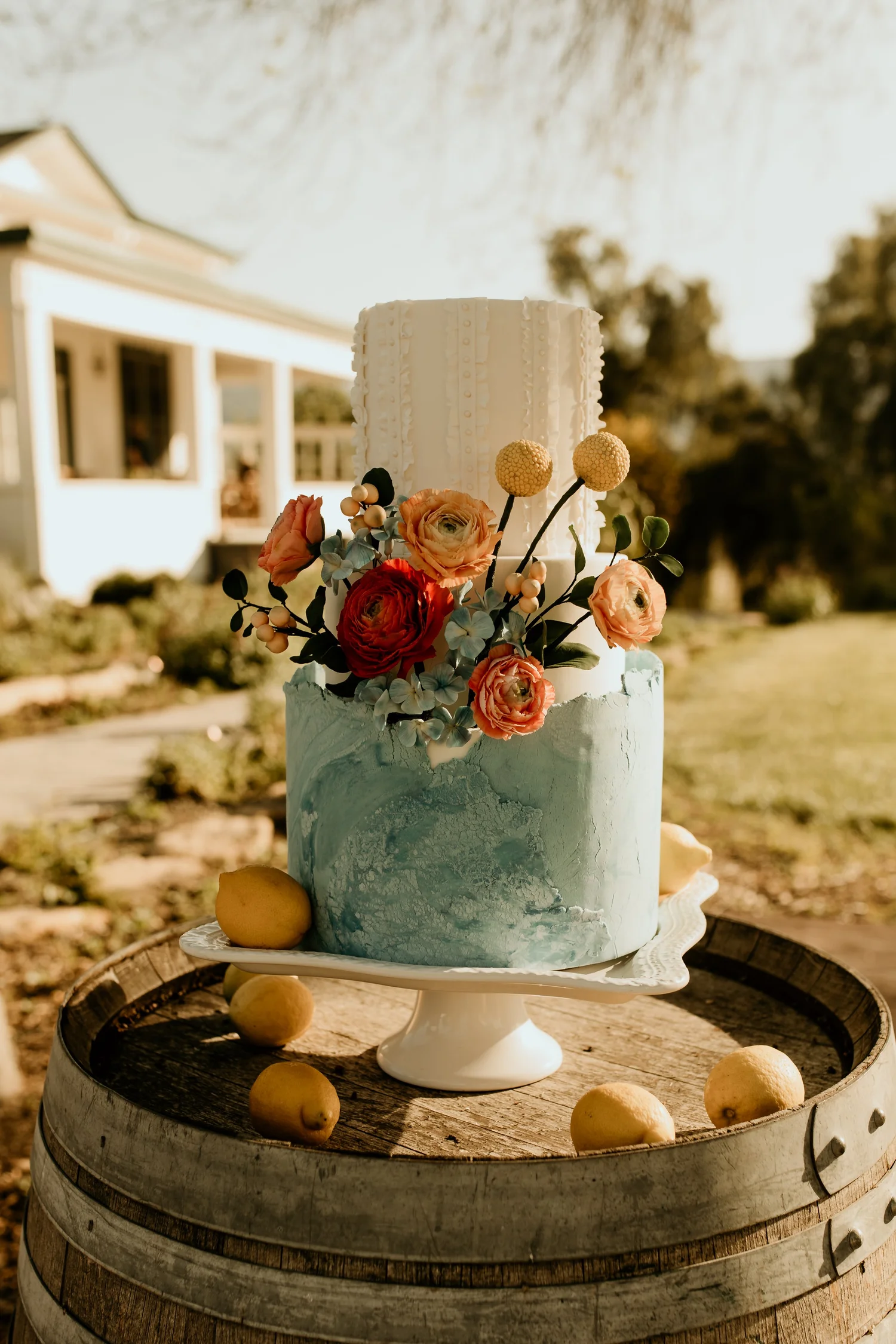 Portfolio — Story Cake Studio