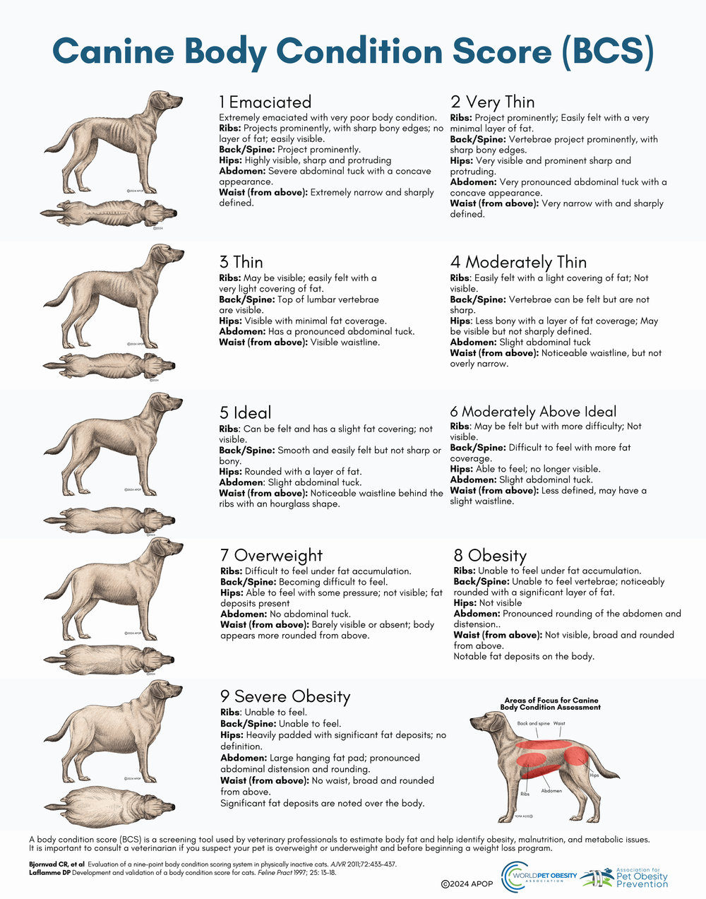 Dog Body Condition Scoring | Assess Your Dog’s Weight — Association for ...