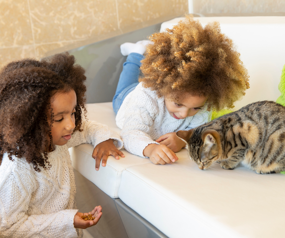 Cat Weight Loss Information — Association for Pet Obesity Prevention