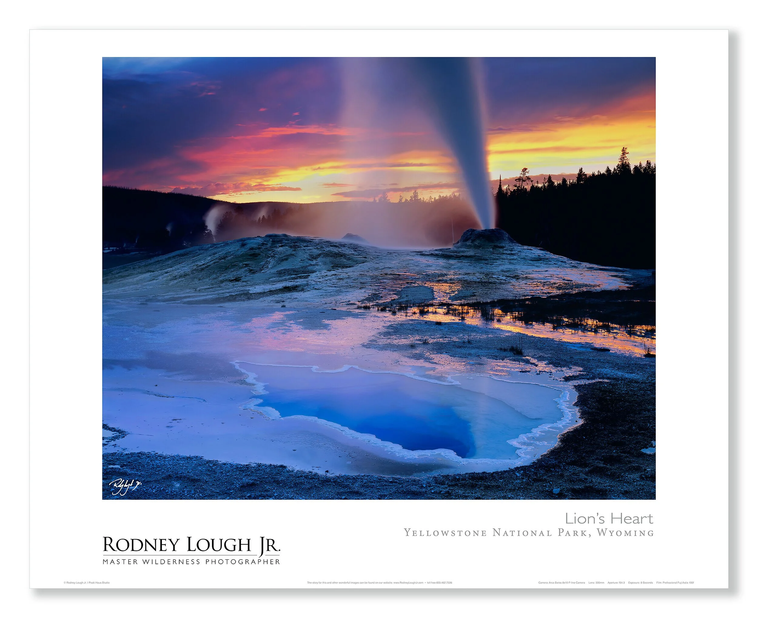 Lion's Heart, Yellowstone National Park, Wyoming — Rodney Lough Jr.