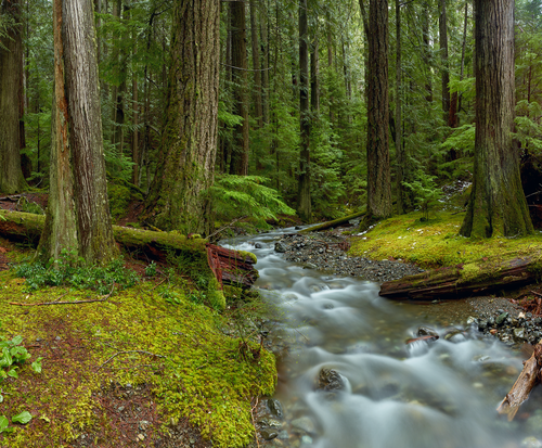 Exclusive Fine Art Photography for Collectors | Rodney Lough Jr.