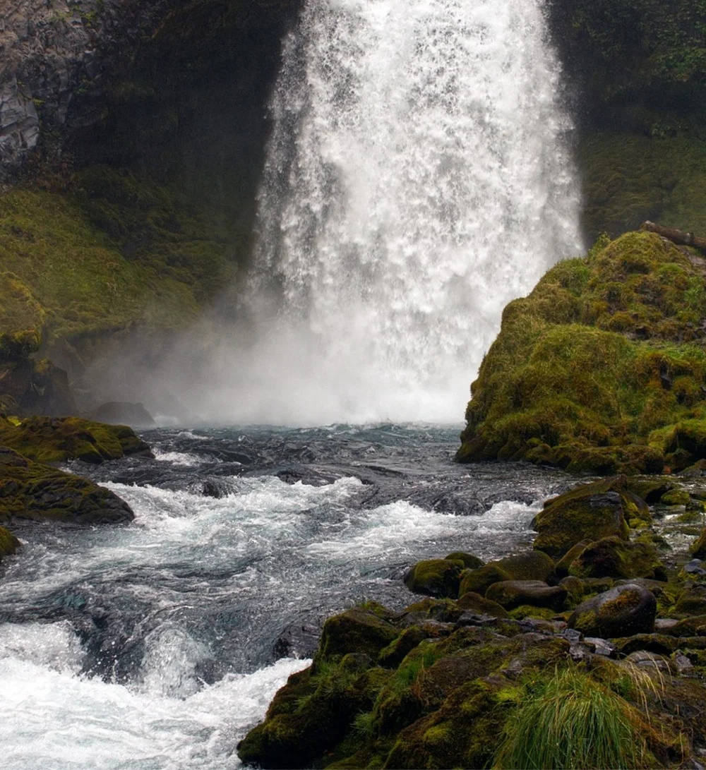Oregon — Circular Action Alliance