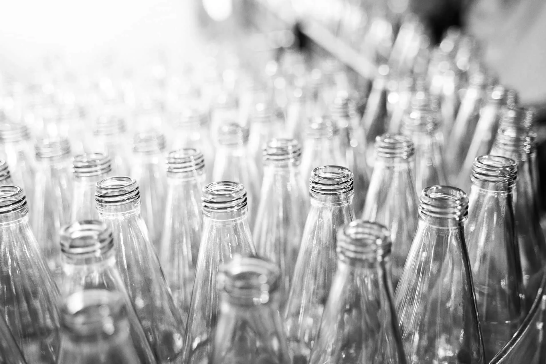 Circular Action Alliance