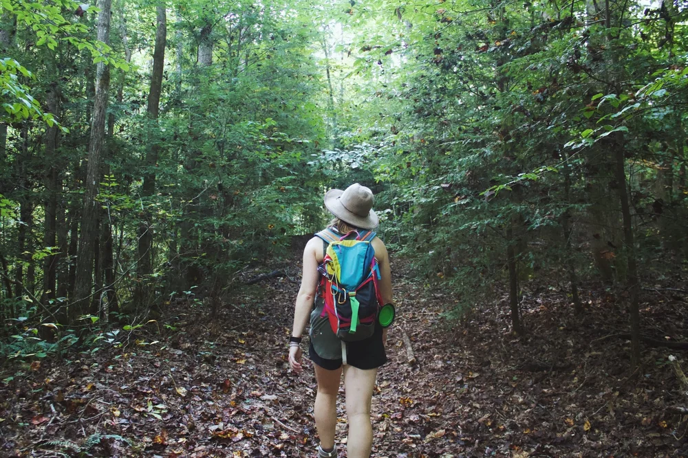 Hiking Trail Markers: Nature's Guides to Adventure and Discovery ...