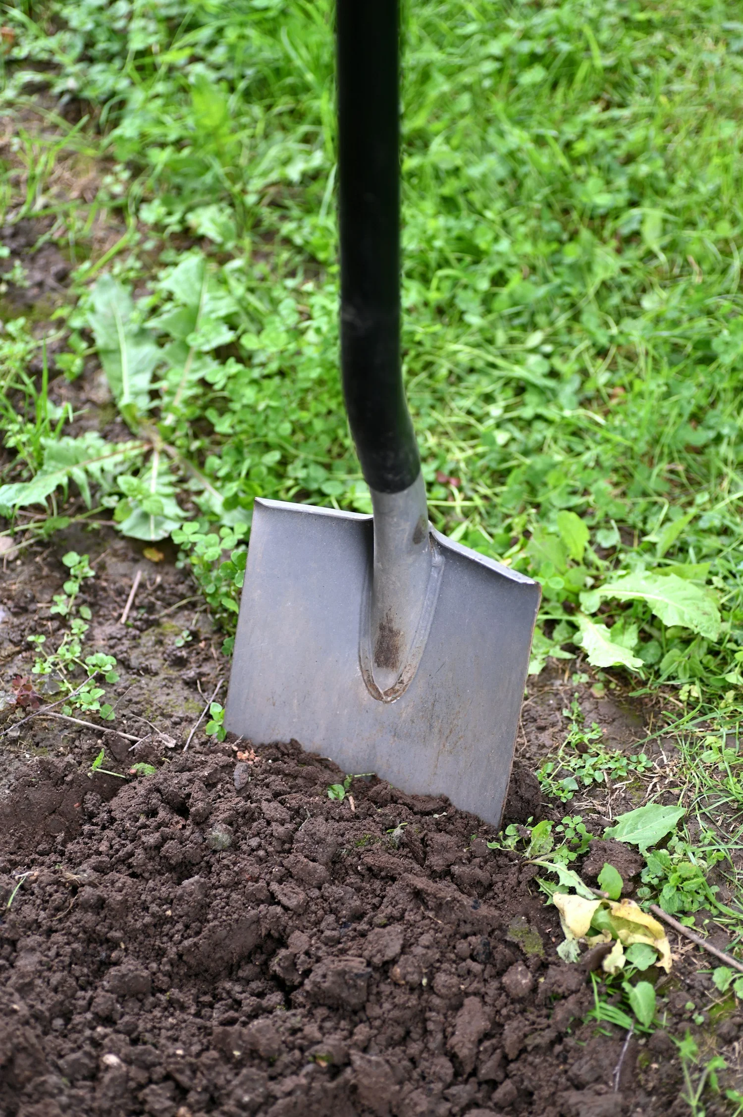 The Problem with Digging Up the Past — Living a Fruitful Life