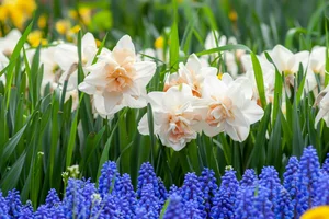 Spring in the Bible: A Season of Renewal, Restoration, and God's ...
