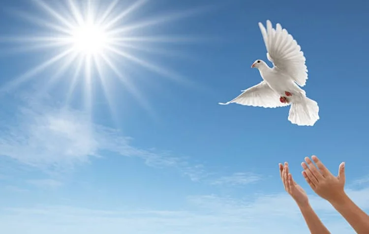 Embracing the Essence of "Let Go, Get God" through Scripture: A Path to ...