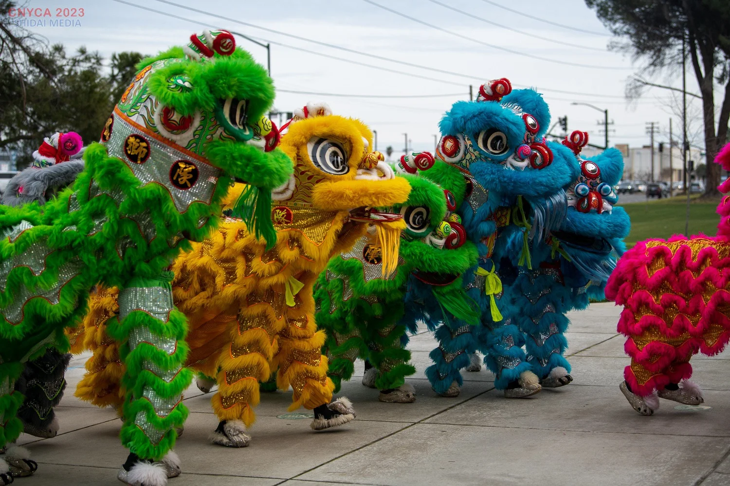 Teng Fei Lion Dance | Experience Traditional Lion Dance—Join or Book Today