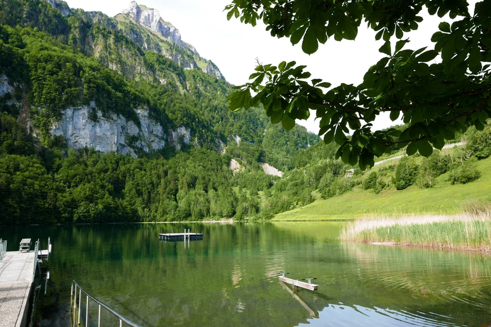 Naturcamping-Seelisberg