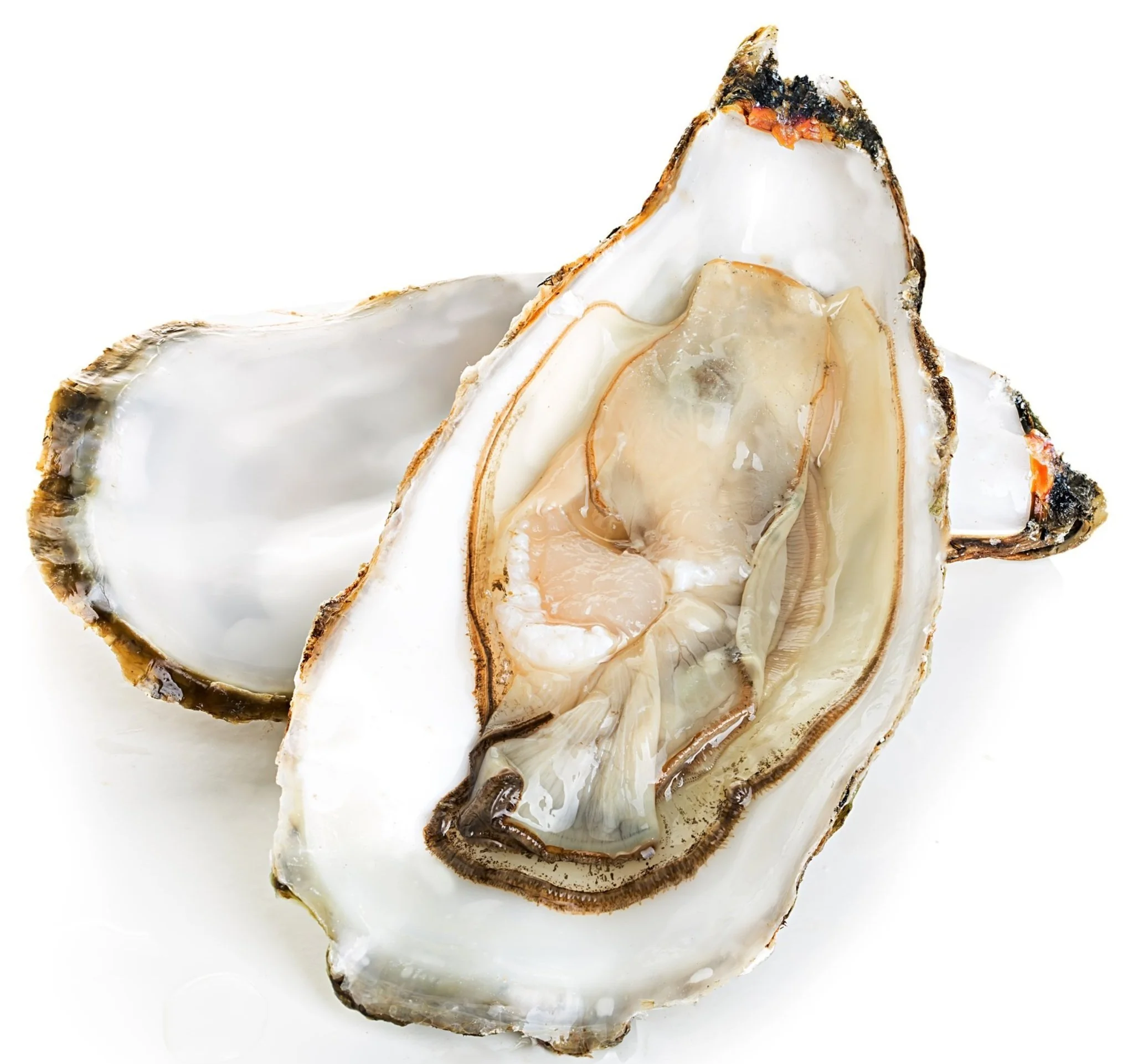 Scalloped Oyster Rockefeller Casserole — Oysters & Cider