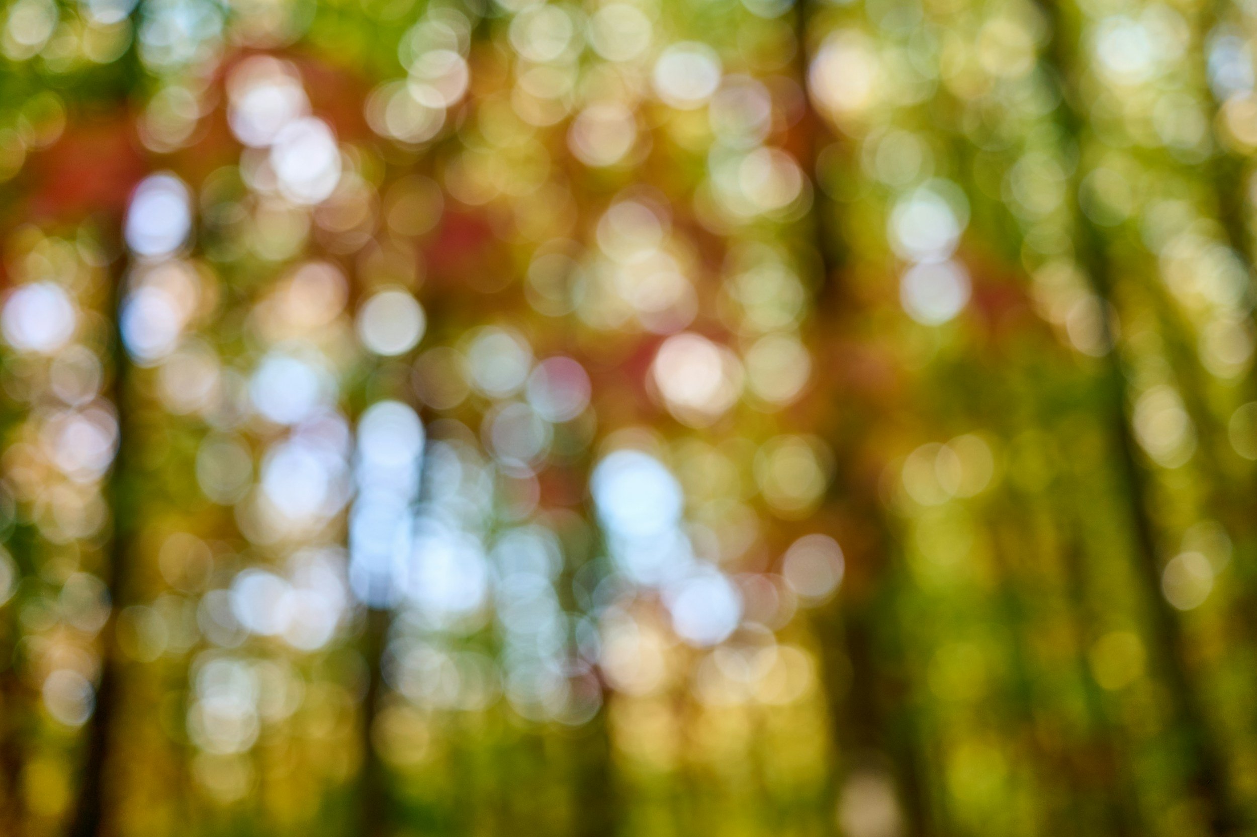 LCBA - Loyal Christian Benefit Association