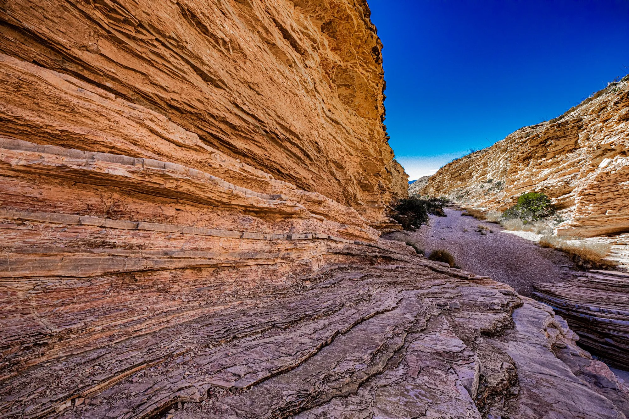 Larry Pile Photography