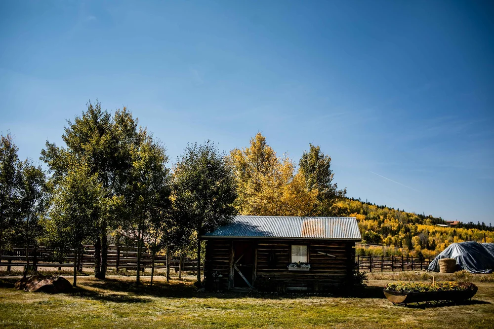 Dreamy Autumn Wedding Filled with Fall Foliage — Strawberry Creek Ranch
