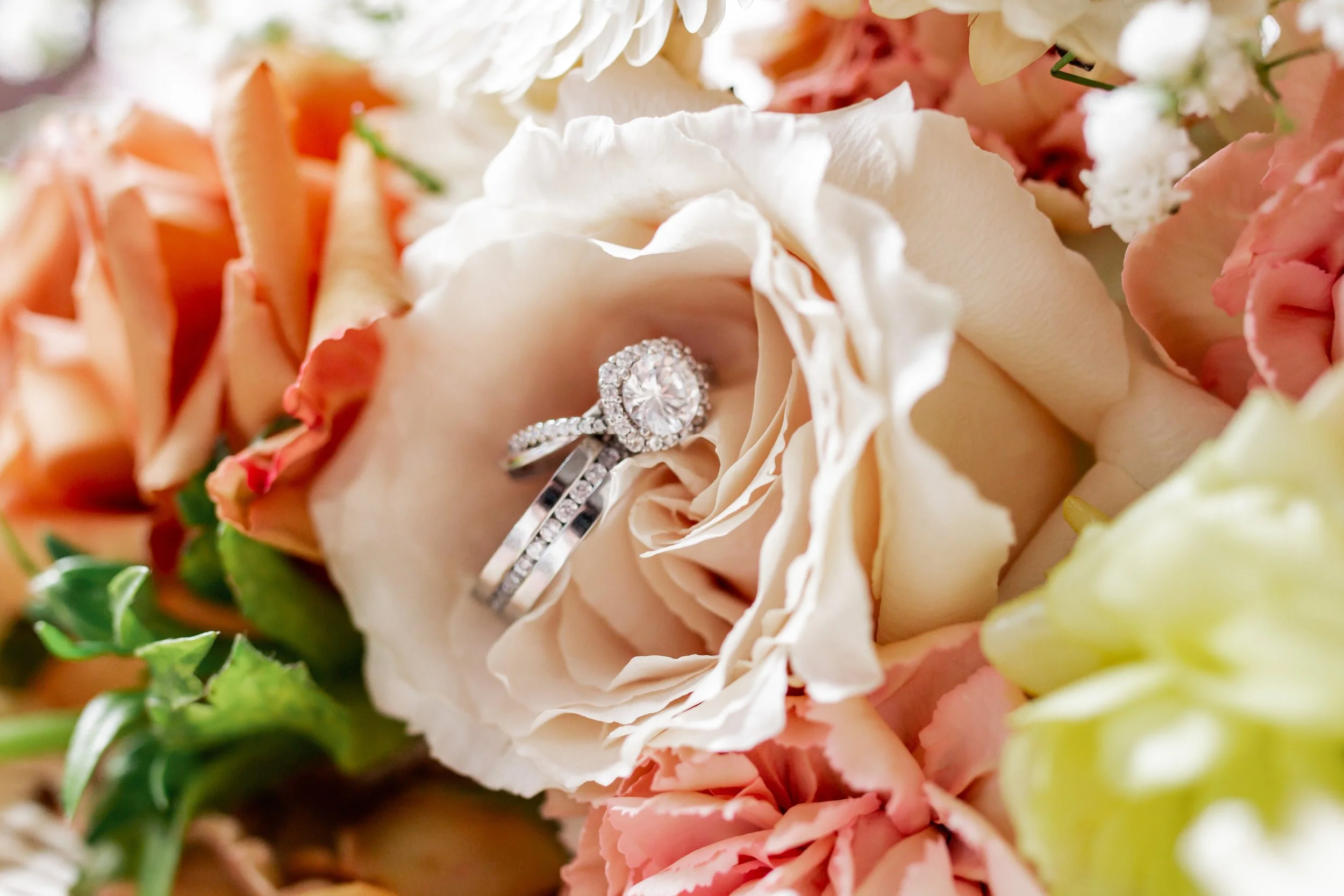 AES Photography - Classic, Colorful, Wedding Photography