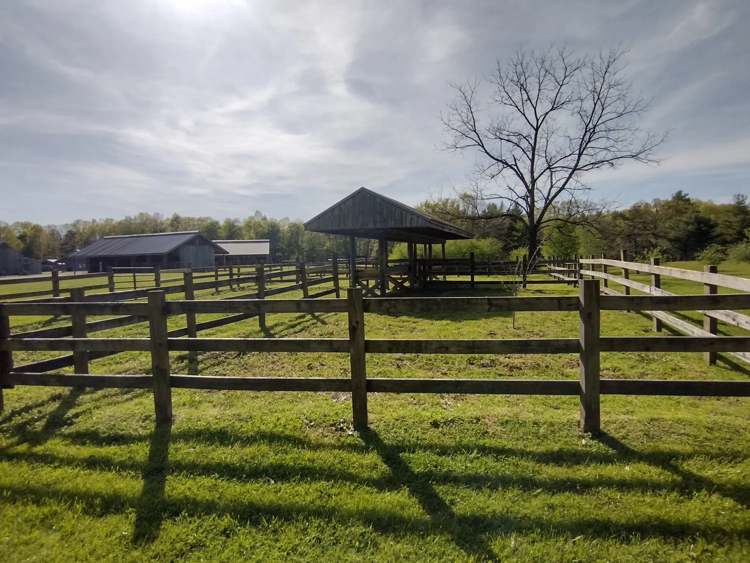 Bandy Creek Camp Store & Stables