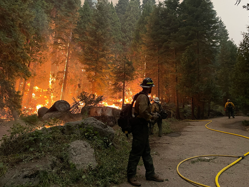 Questions — Wildfire Defense Systems