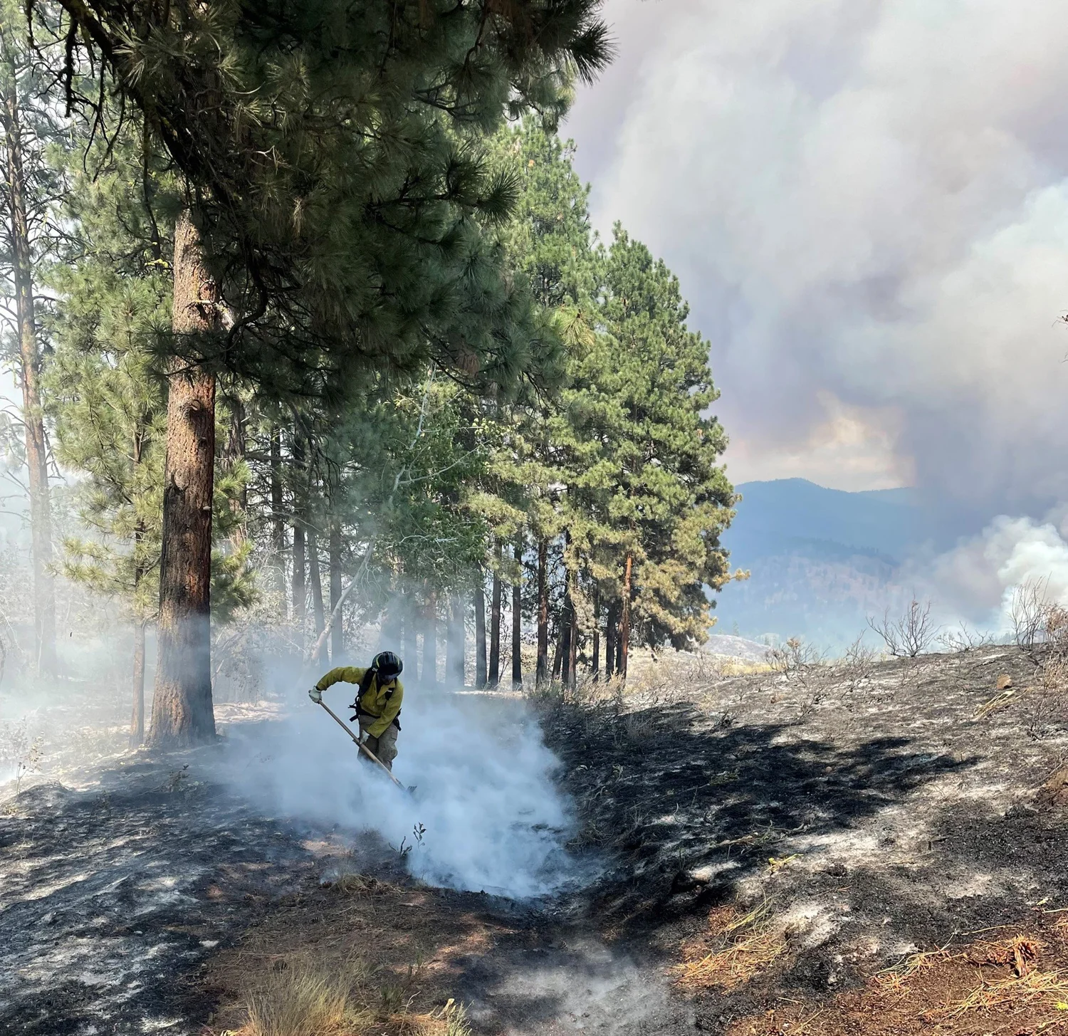 WDSfire — Wildfire Defense Systems
