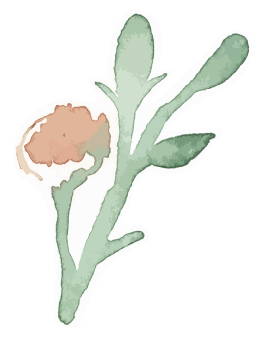 Contact Us — Philomena Birth